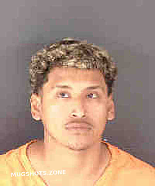 GONZALEZ-LOPEZ JOSE 05/15/2024 - Sarasota County Mugshots Zone