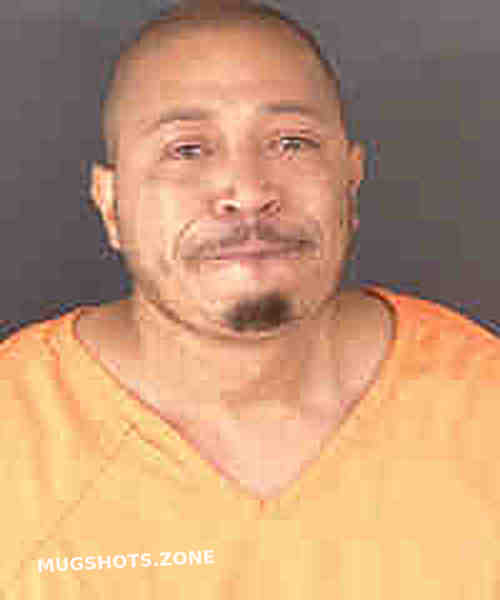 WILLIAMS COURTNEY ROSHELL 06/07/2024 - Sarasota County Mugshots Zone