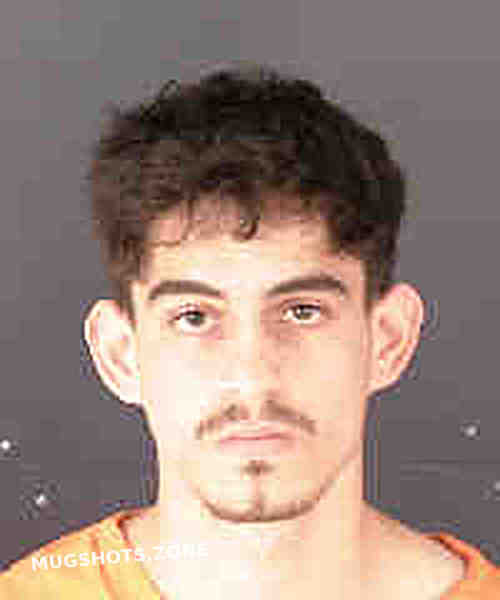 ACOSTA ZAMBRANO DIEGO ZAMBRANO DIEGO ALBERTO 07/01/2024 - Sarasota County Mugshots Zone