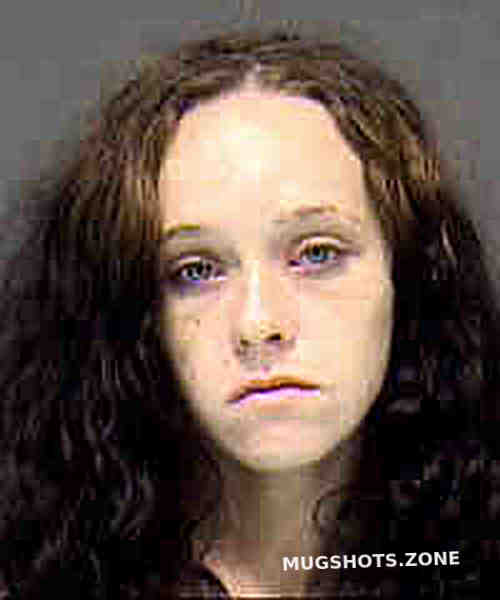 DEWITT BRITTANY RENEE 07/15/2024 - Sarasota County Mugshots Zone