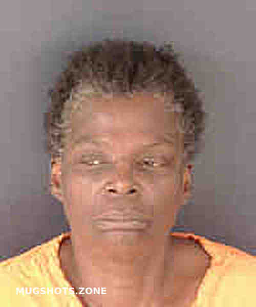 BUTLER ELIZABETH ANN 08/07/2024 - Sarasota County Mugshots Zone