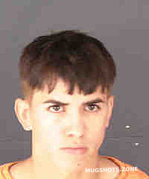 CHIRINOS CAMACHO BRIAN CAMACHO BRIAN XAVIER 08/20/2024 - Sarasota ...