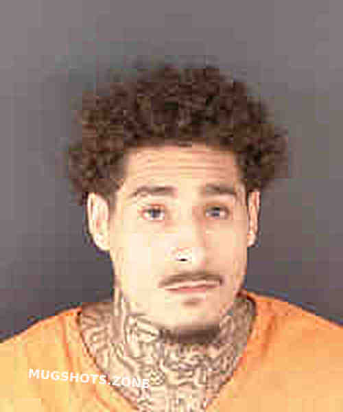 RADKEY TYLER MARKUS 09/06/2024 - Sarasota County Mugshots Zone