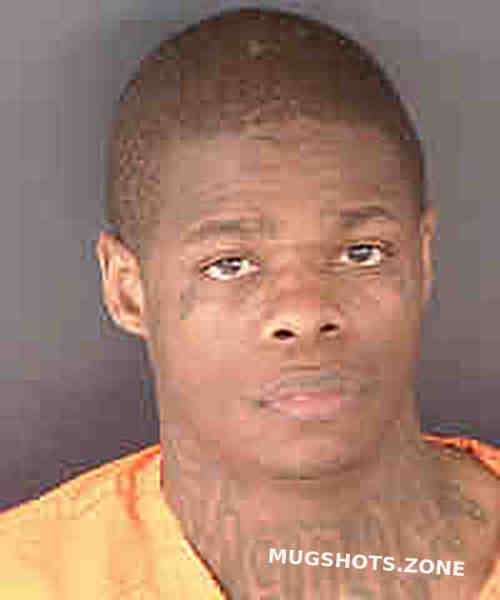 ROGERS DARRELL EUGENE 11/18/2024 - Sarasota County Mugshots Zone