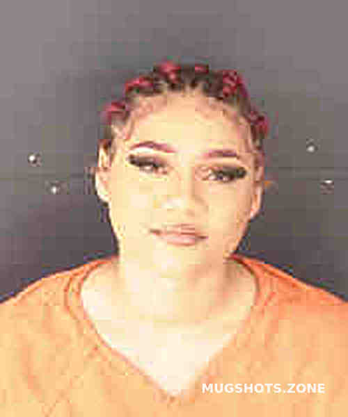 ANDERSON JAELYNN ARIAH DEZTANNY 11/21/2024 - Sarasota County Mugshots Zone