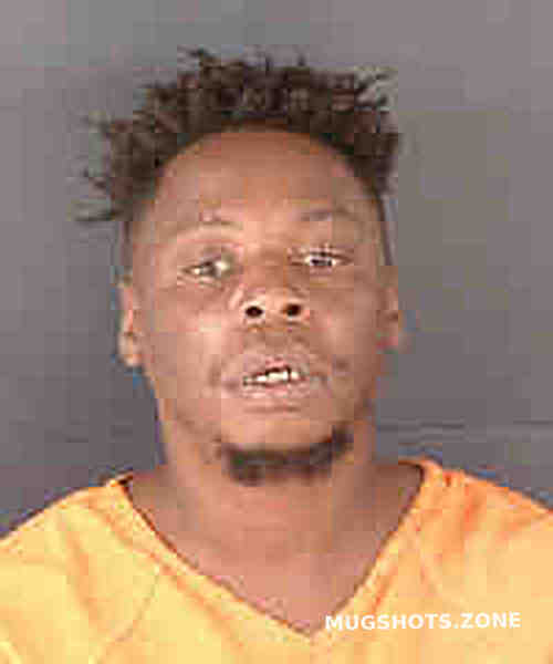 GREEN MARK WATSON JR 11/24/2024 - Sarasota County Mugshots Zone