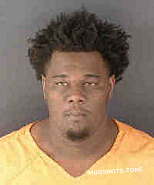 SAUNDERS LA DREAM SHAMEEK JR 11/25/2024 - Sarasota County Mugshots Zone