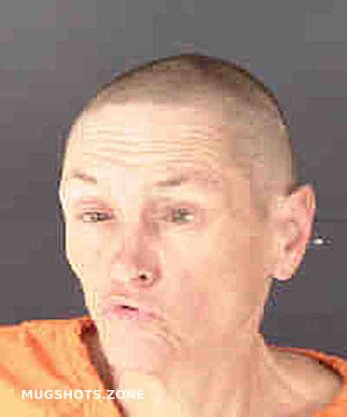 CARSON MICHELLE CHRISTINE 11/27/2024 - Sarasota County Mugshots Zone