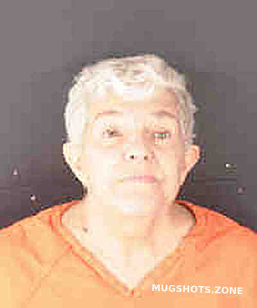 COOK LINDA DIANE 12/07/2024 - Sarasota County Mugshots Zone
