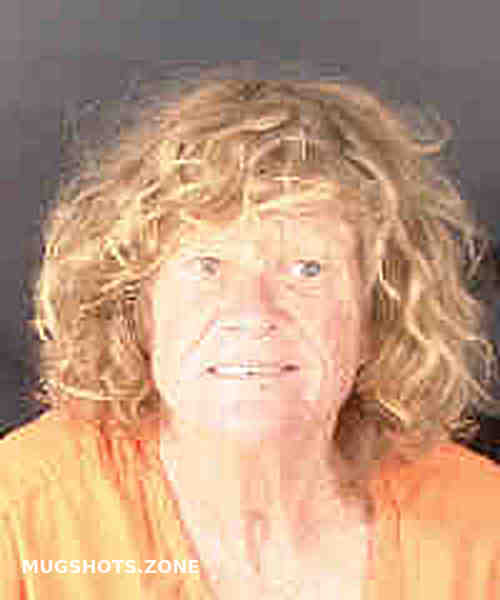 CAUDLE CHRISTINE MACLEOD 12/27/2024 - Sarasota County Mugshots Zone