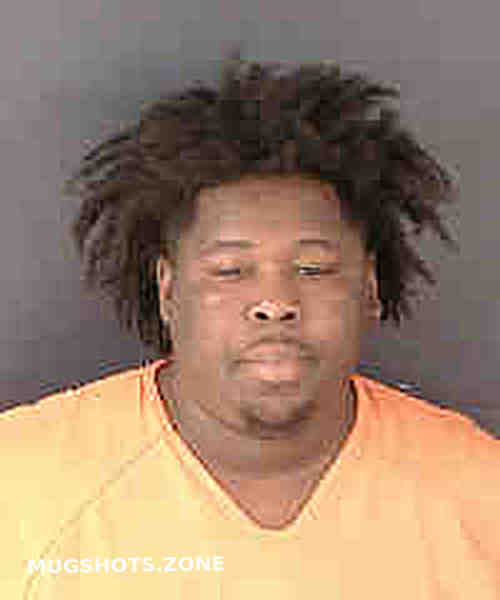TAYLOR MARQUEZ DEMOND 01/05/2025 - Sarasota County Mugshots Zone