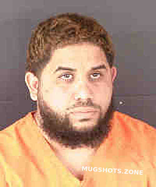 LEBRON-LABOY GABRIEL YOBAL 01/15/2025 - Sarasota County Mugshots Zone