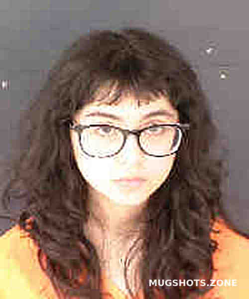 GARCIA JILL ALEXIS CLEMENTE 01/25/2025 - Sarasota County Mugshots Zone