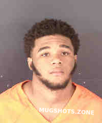 LEWIS ANDREW 08/29/2025 - Sarasota County Mugshots Zone