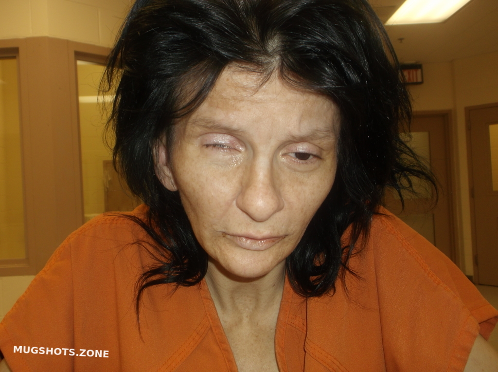 THOMPSON JENIFER A 12/24/2024 - Scioto County Mugshots Zone