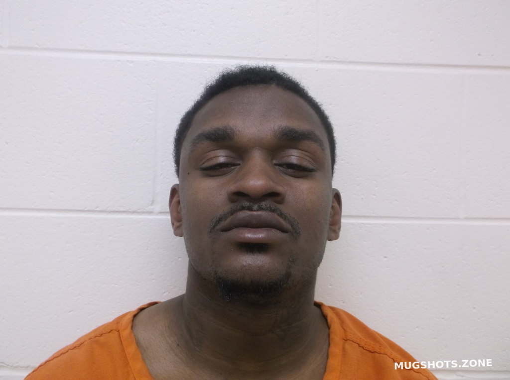 MITCHELL ALLEN 03/28/2025 - Scioto County Mugshots Zone