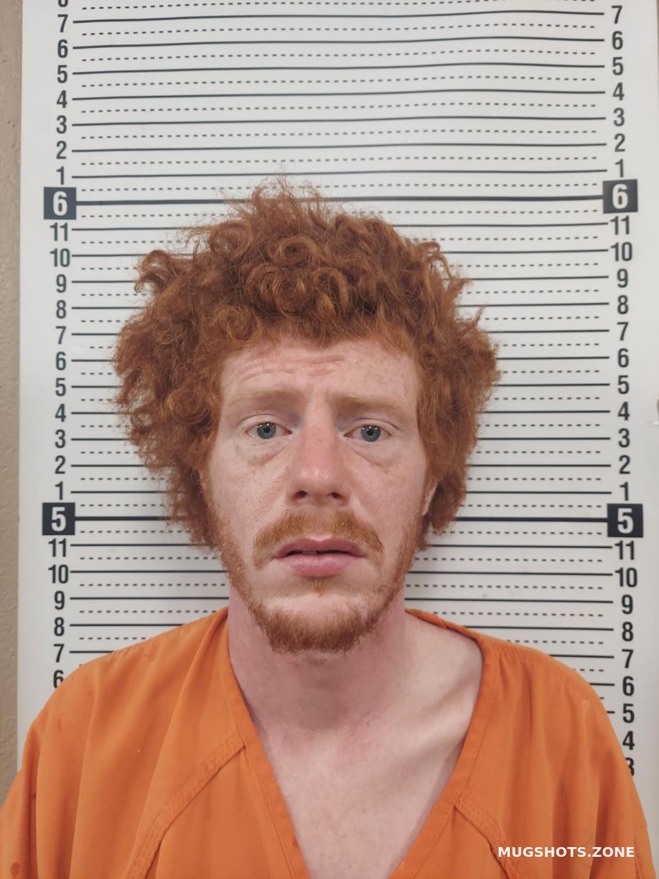 STONE MORGAN T 04/22/2022 - Scott County Mugshots Zone