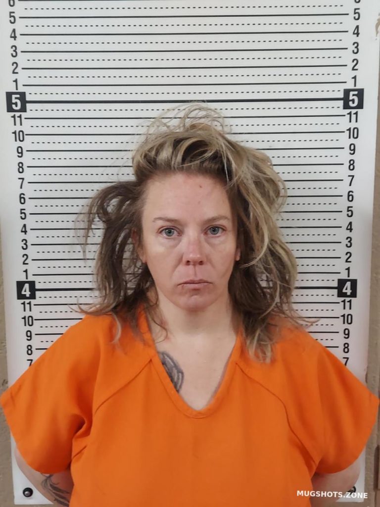 BURK AIMEE SUZANNE 03/22/2025 - Scott County Mugshots Zone