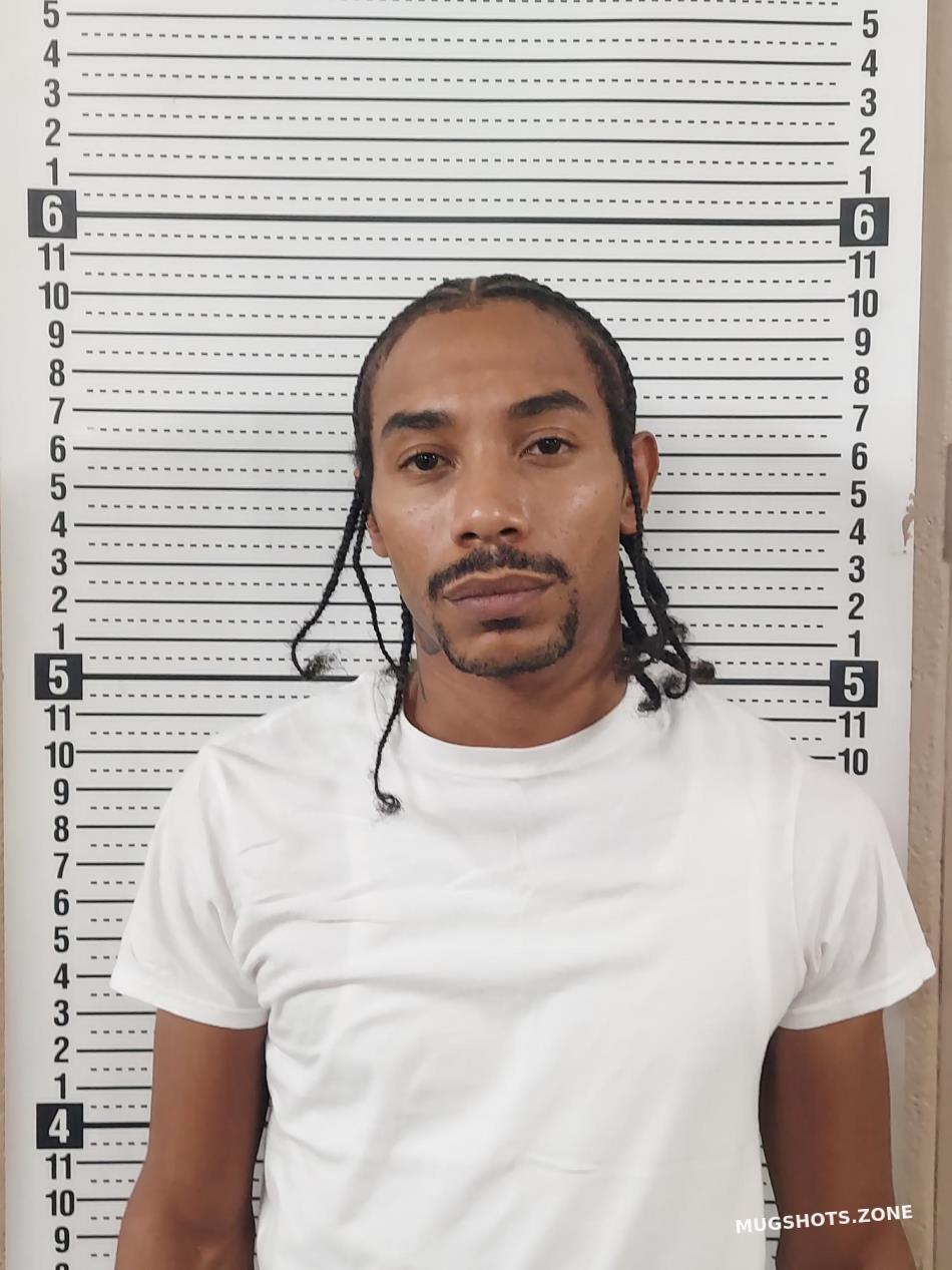 TRICE DAVID RAY 04/20/2025 - Scott County Mugshots Zone