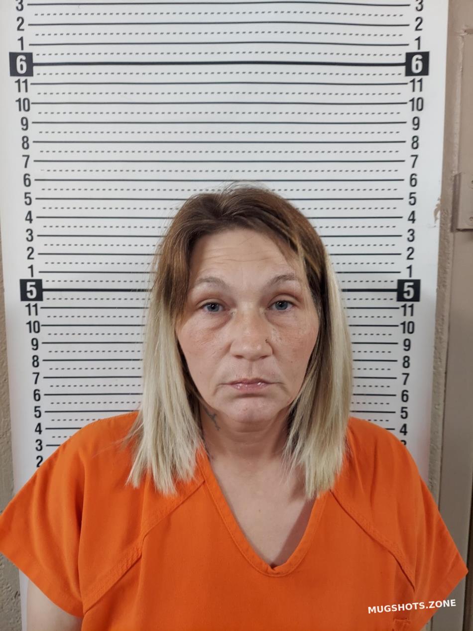 BREEDLOVE SARAH N/A 05/27/2025 - Scott County Mugshots Zone