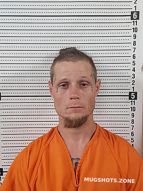 NORWOOD RICKEY SHAWN 06/04/2025 - Scott County Mugshots Zone