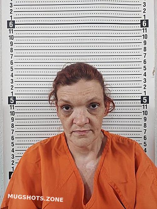 COOMER RACHEL DIANE 06/24/2025 - Scott County Mugshots Zone
