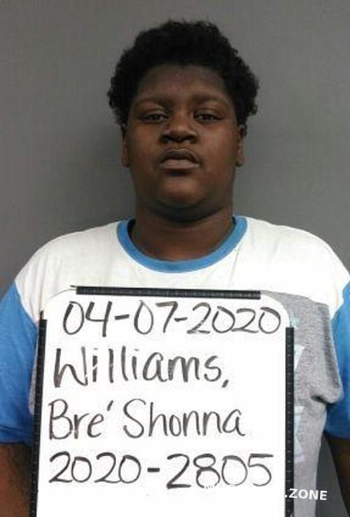 WILLIAMS BRE'SHONNA JON'NEA 06/30/2023 - Sebastian County Mugshots Zone