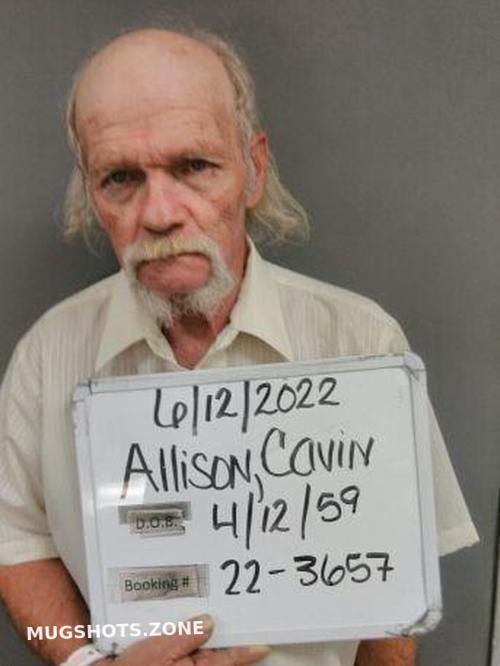 ALLISON CAVIN DALE 02/14/2024 - Sebastian County Mugshots Zone