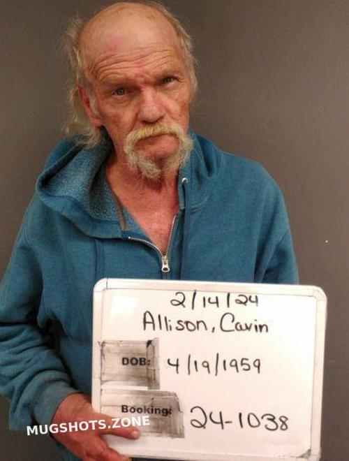 ALLISON CAVIN DALE 03/06/2024 - Sebastian County Mugshots Zone