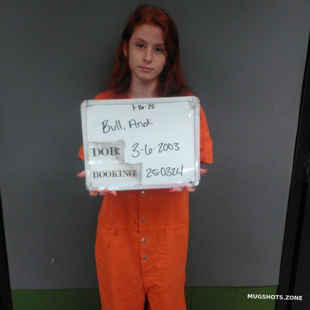 BULL ANDI LEVI 01/16/2025 - Sebastian County Mugshots Zone
