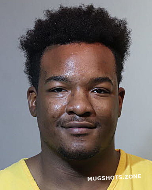 STEVEN ALLEN 02/12/2021 - Seminole County Mugshots Zone