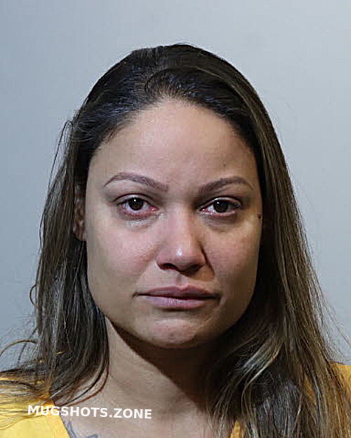 JANINE HELME 04/11/2021 - Seminole County Mugshots Zone