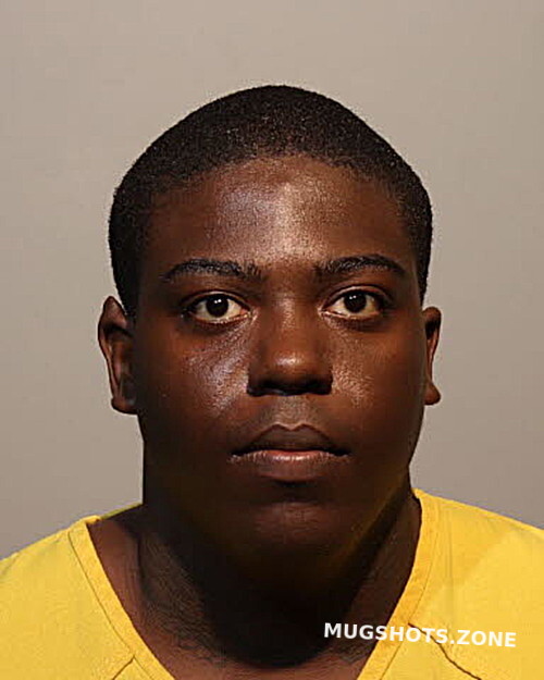 RONALD KING 06/16/2022 - Seminole County Mugshots Zone