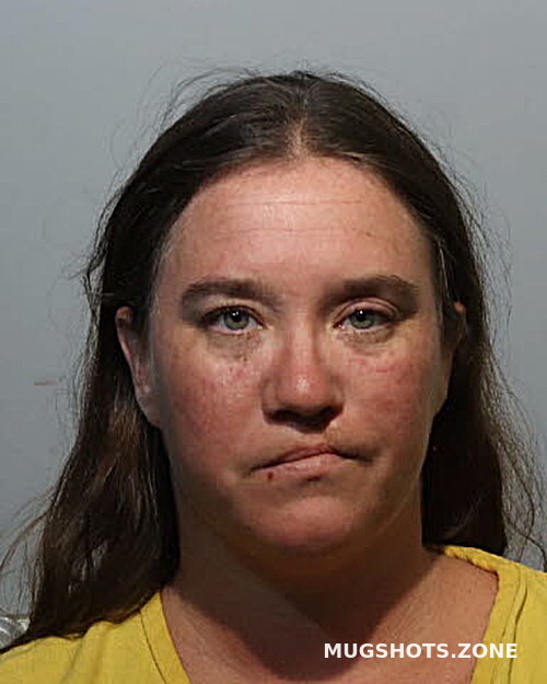 SANDRA LEWIS 11/06/2022 - Seminole County Mugshots Zone
