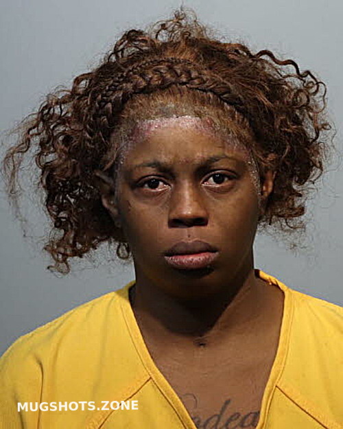 DEANNA DOCTOR 11/15/2022 - Seminole County Mugshots Zone