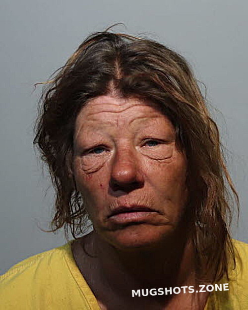 SUSAN DRURY 12/18/2022 - Seminole County Mugshots Zone