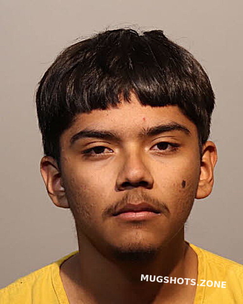 ALEXIS BERMUDEZ MARTINEZ 01/14/2023 - Seminole County Mugshots Zone