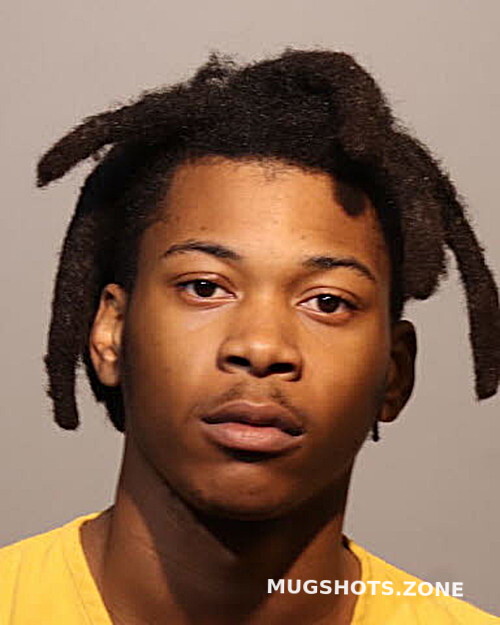 DOUGLAS REESE 01/26/2023 - Seminole County Mugshots Zone