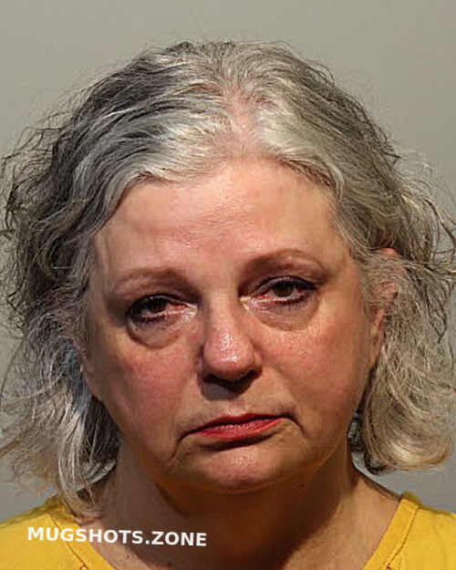 JANICE JENKINS 03/28/2023 - Seminole County Mugshots Zone