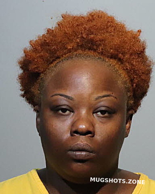 BRIA LEE 05/30/2023 - Seminole County Mugshots Zone