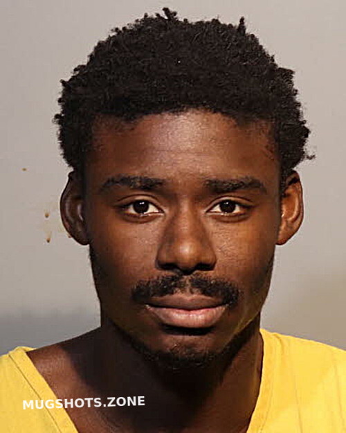 FREDDIE BROWN 05/31/2023 - Seminole County Mugshots Zone