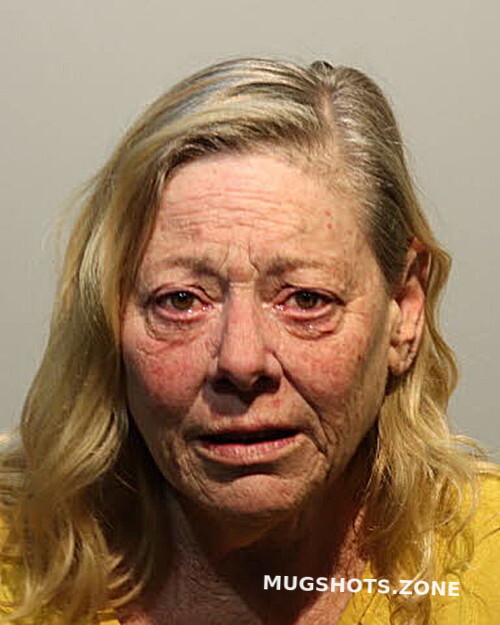 DEBRA MCDANIEL 07/27/2023 - Seminole County Mugshots Zone