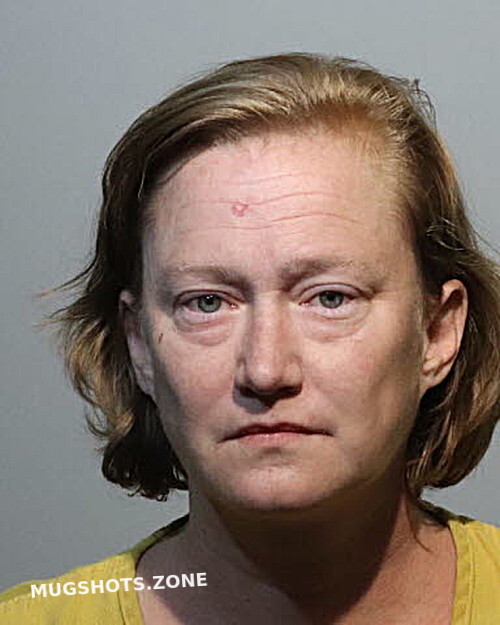 KAREN MATTHEWS 08/26/2023 - Seminole County Mugshots Zone