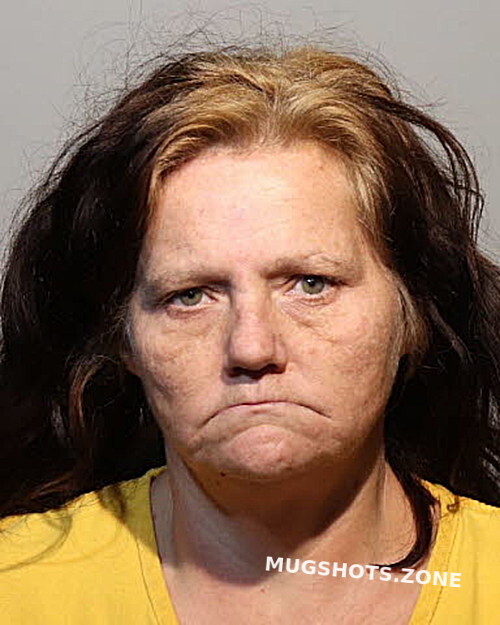 DAWN ALLEN 01/10/2024 - Seminole County Mugshots Zone