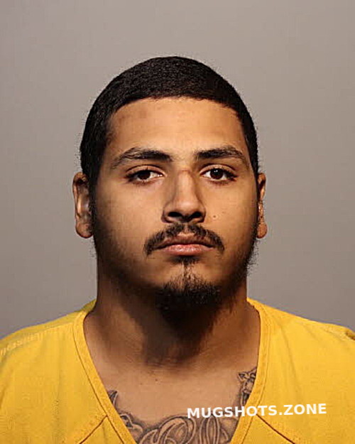 HESHIVA PERSAUD 01/17/2024 - Seminole County Mugshots Zone