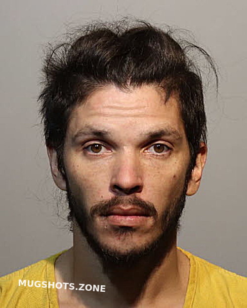 STEVEN CELLI 01/21/2024 - Seminole County Mugshots Zone