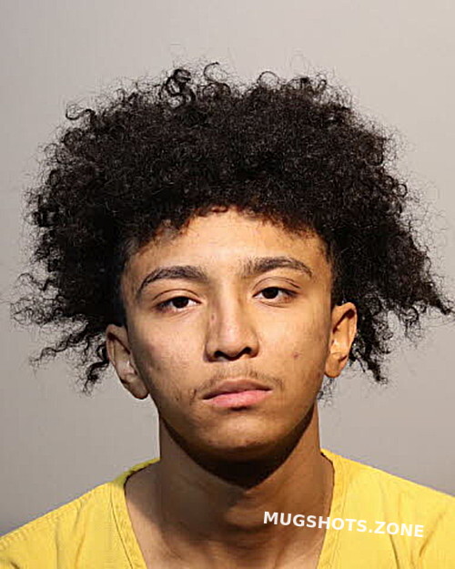 SEBASTIAN DREW 02/17/2024 - Seminole County Mugshots Zone