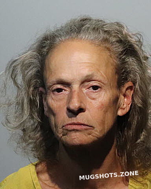 DAWN NEWELL 04/30/2024 - Seminole County Mugshots Zone