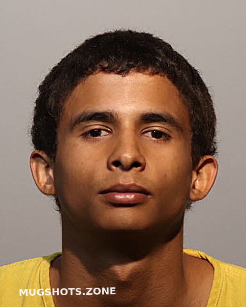 FRANQUI ORTEGA SANJURJO 05/15/2024 - Seminole County Mugshots Zone