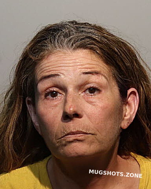 SUSAN BURNS 05/23/2024 - Seminole County Mugshots Zone